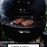 Grilling 101: All the Grilling Basics You Need to Start Grilling this ...